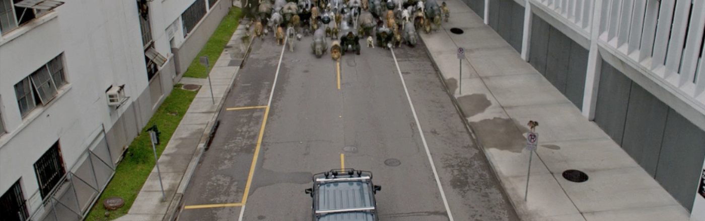 Zoo Is Coming: Get Ready To Run!